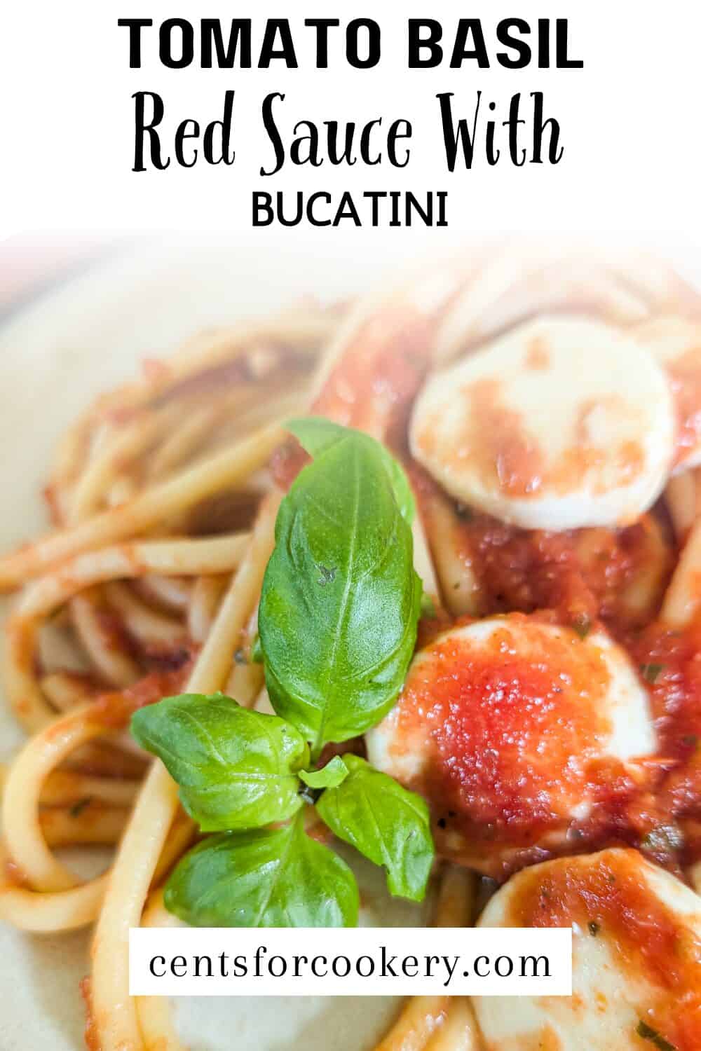 Bucatini With Roma Tomato Basil Pasta Sauce - Cents For Cookery