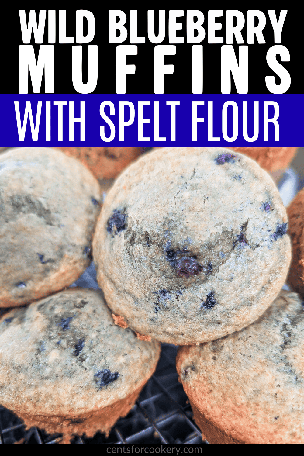 Wild Blueberry Muffins with Frozen Canadian Wild Blueberries - Cents ...